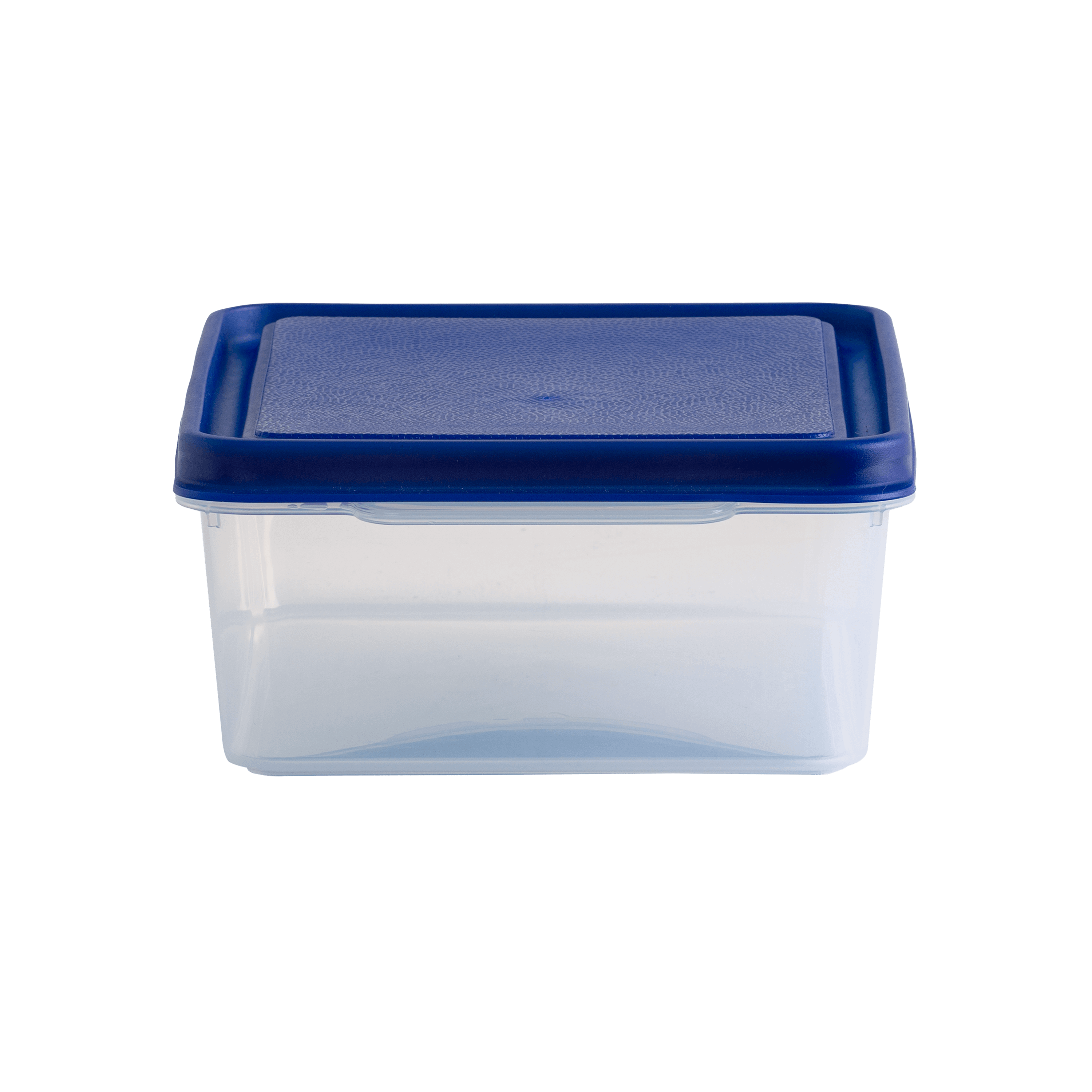 Studio 3L Rect Food Box Clear/Blue - 32602 - What More UK