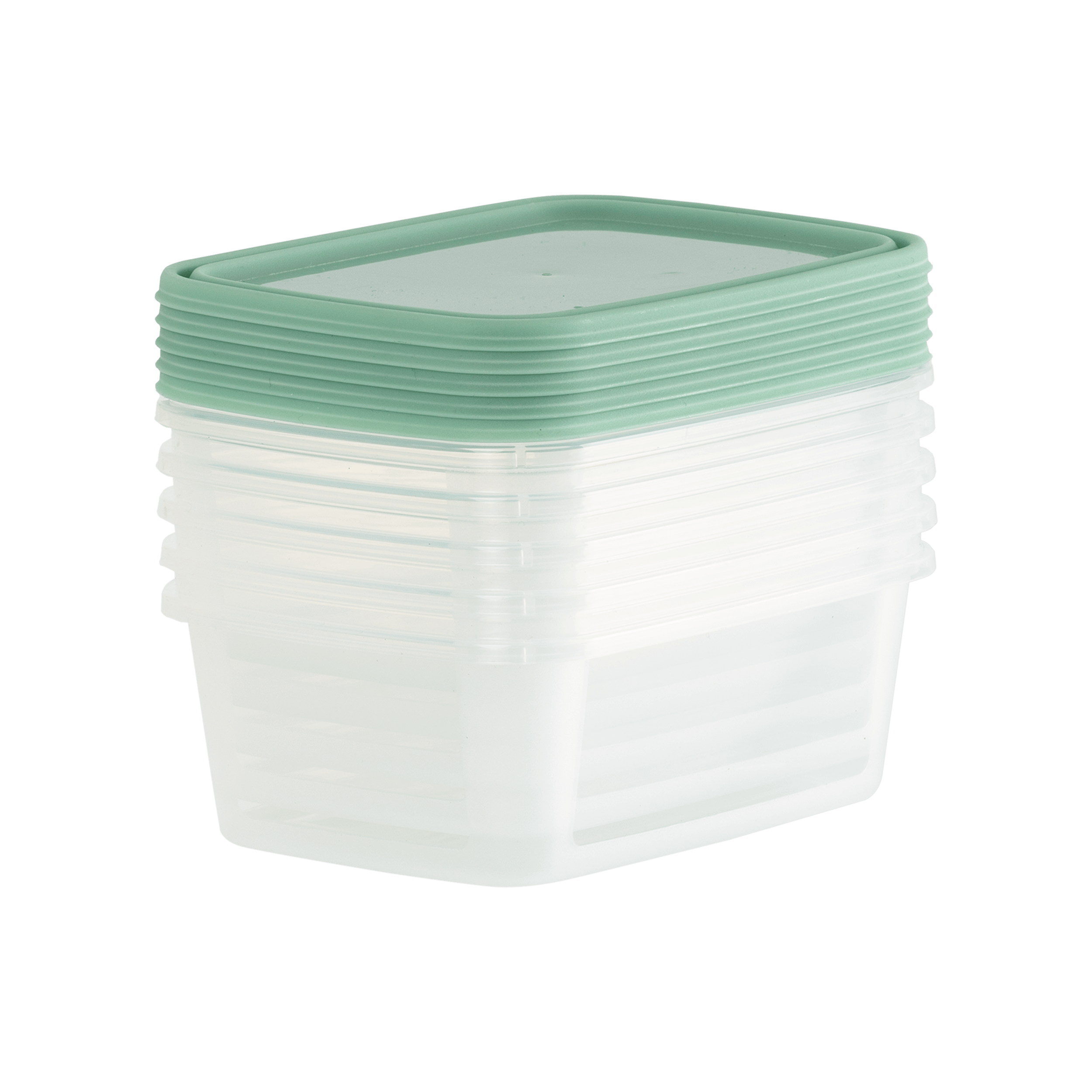 Set5 Everyday 0.5L Food Box&Lid Clr/Blue - 35875 - What More UK